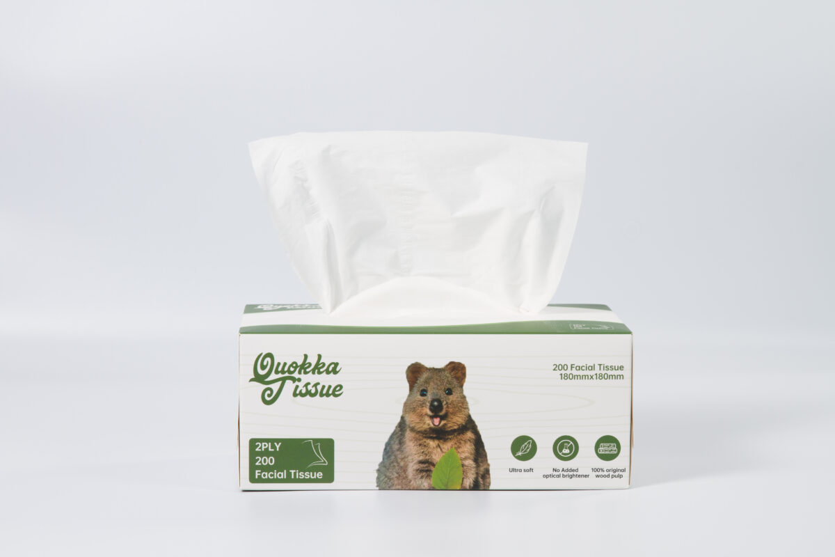 2ply 50 Packs Quokka Big Box Facial Tissue (200 Counts)