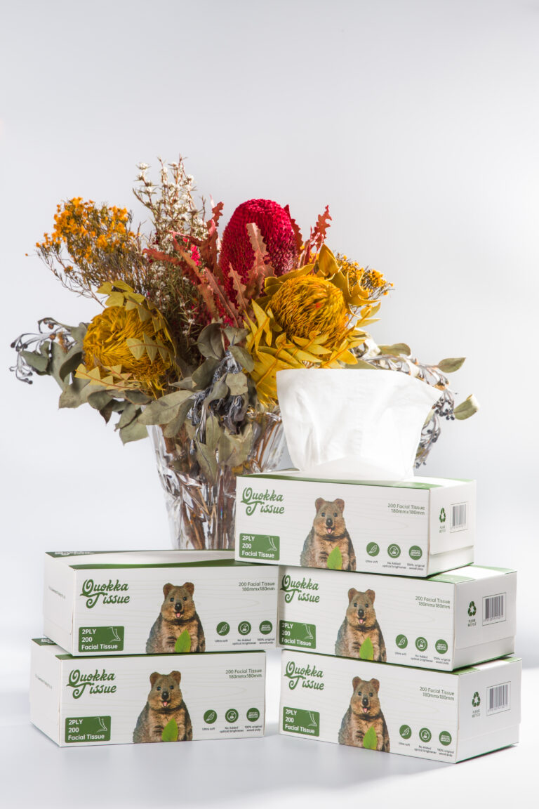 2ply 50 Packs Quokka Big Box Facial Tissue (200 Counts)